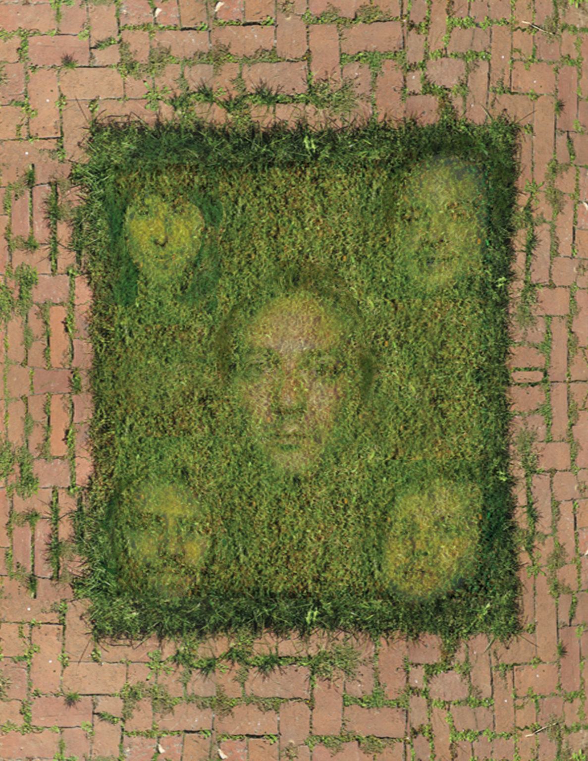 Interview: Andrew Rieger of Elf Power - Psychedelic Scene Magazine